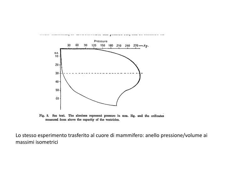 PPT - La legge di Frank Starling PowerPoint Presentation - ID:4375990