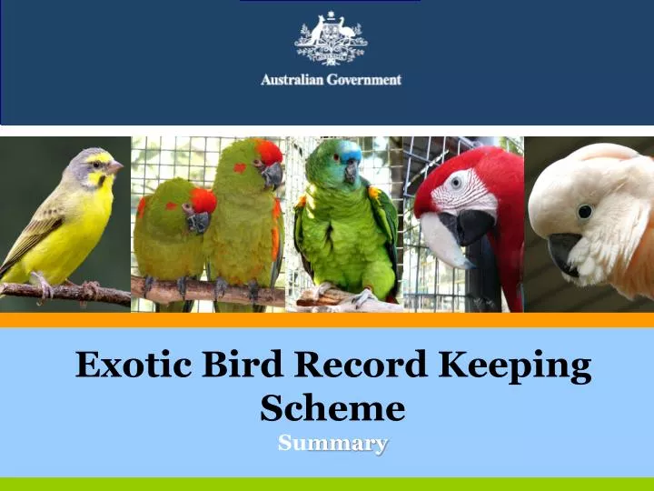 PPT - Exotic Bird Record Keeping Scheme Su mmary PowerPoint ...