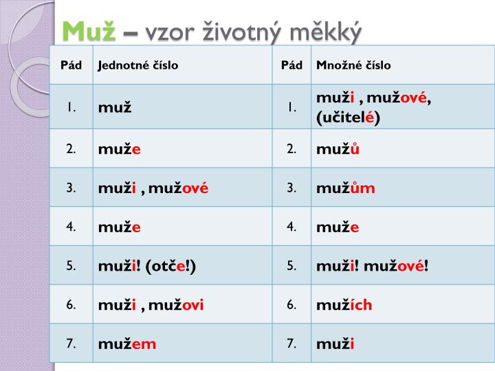 PPT - Podstatná jména rodu mužského - vzory PowerPoint Presentation ...