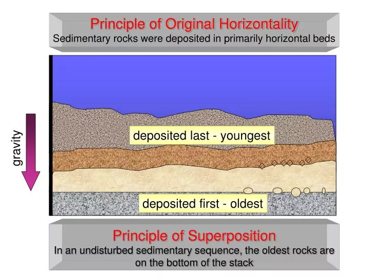 PPT - gravity PowerPoint Presentation, free download - ID:4380427