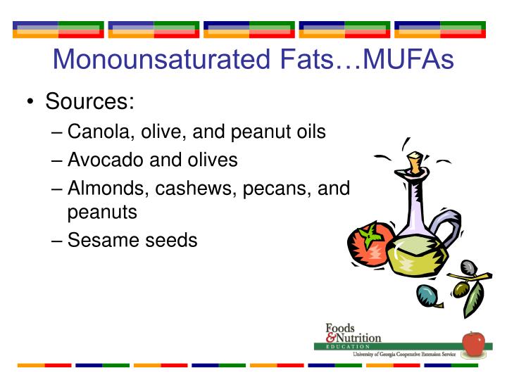 PPT - Oil or Butter? The Skinny on Fat PowerPoint Presentation - ID:4380939