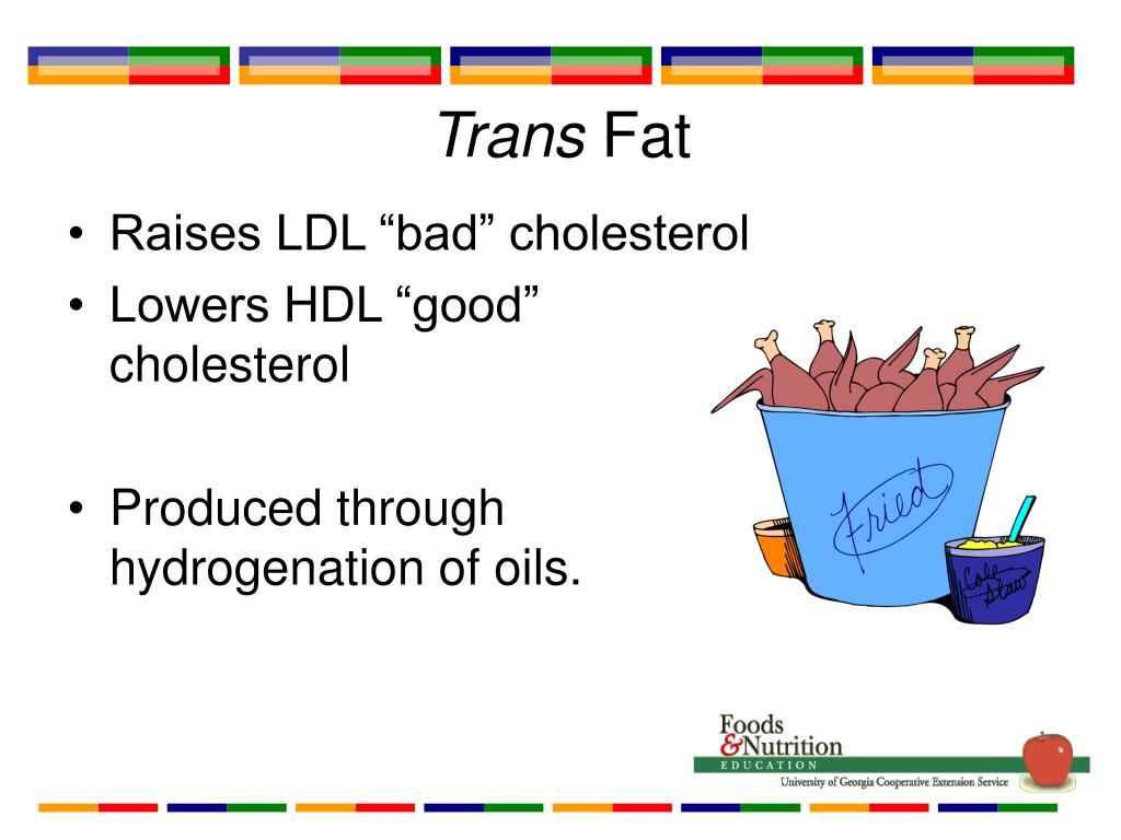 PPT - Oil or Butter? The Skinny on Fat PowerPoint Presentation, free ...