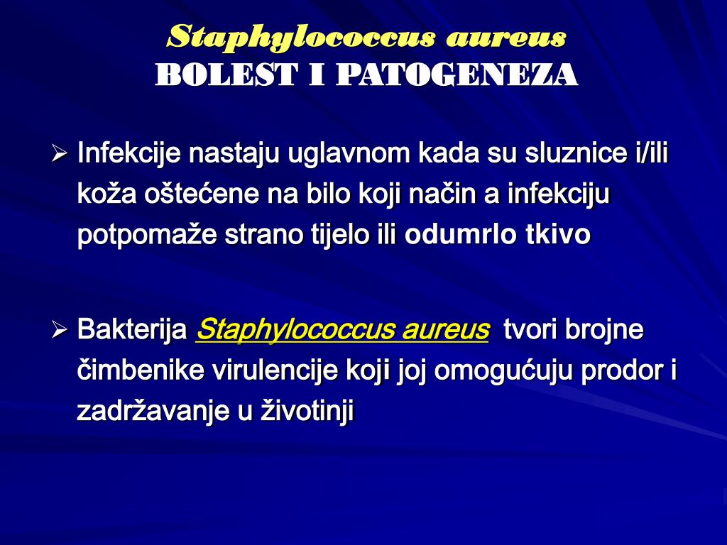 PPT - BAKTERIJSKI UZROČNICI MASTITISA KRAVA PowerPoint Presentation ...