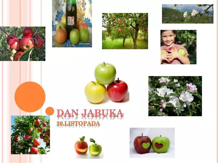 PPT - DAN JABUKA PowerPoint Presentation, free download - ID:4381925