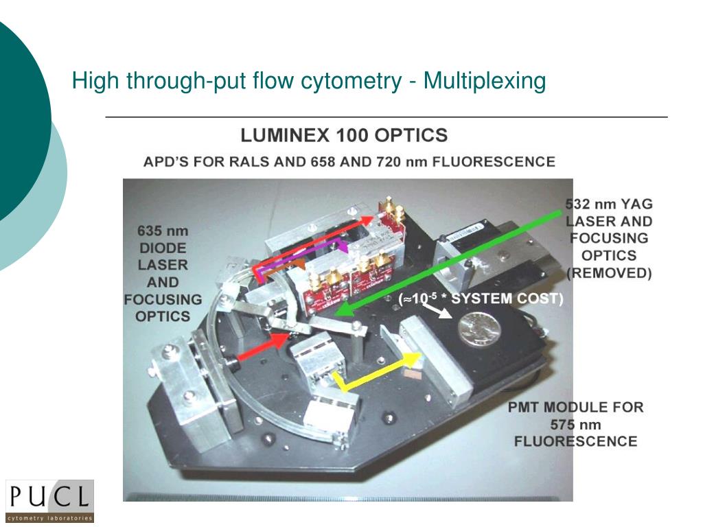 PPT - J. Paul Robinson Professor of Immunopharmacology & Professor of ...