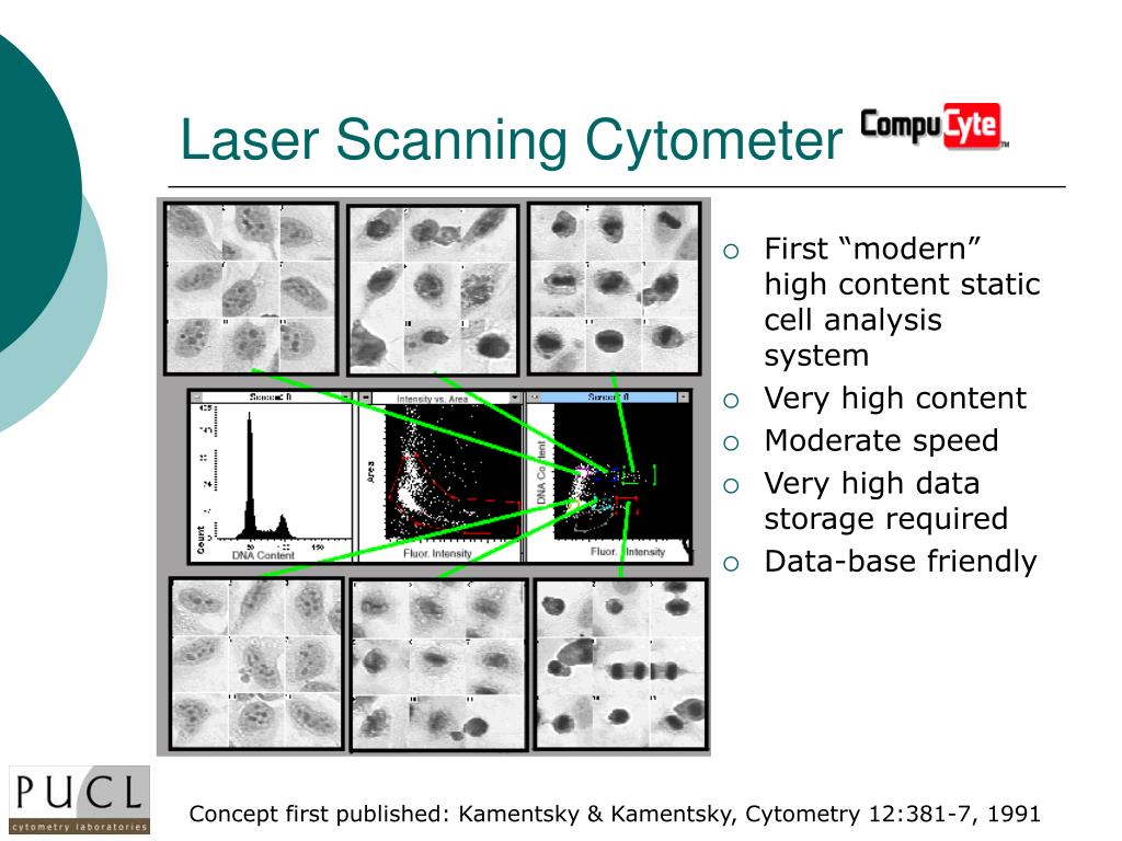 PPT - J. Paul Robinson Professor of Immunopharmacology & Professor of ...