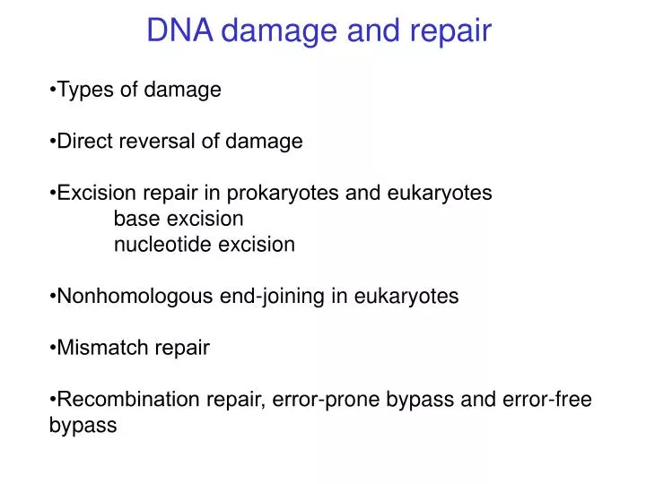 PPT - DNA damage and repair PowerPoint Presentation, free download - ID:4383474