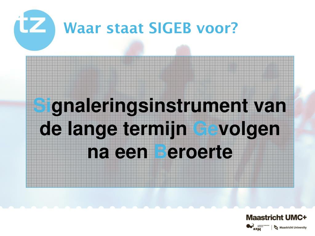 PPT - SIGEB: Signaleringsinstrument voor de thuissituatie PowerPoint ...