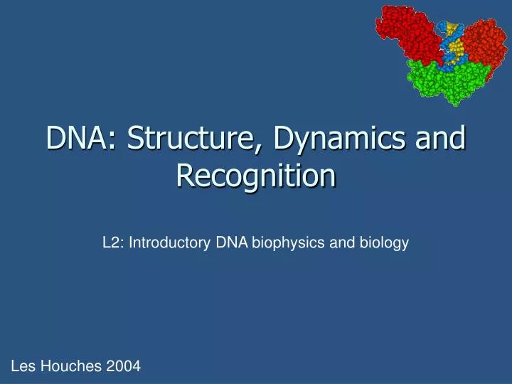PPT - DNA: Structure, Dynamics and Recognition PowerPoint Presentation - ID:4383730