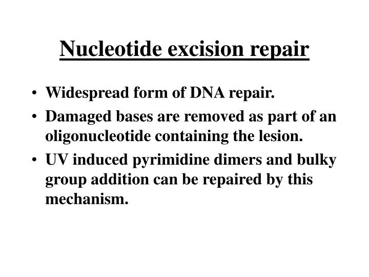 PPT - Genetic Material-DNA PowerPoint Presentation - ID:4383974