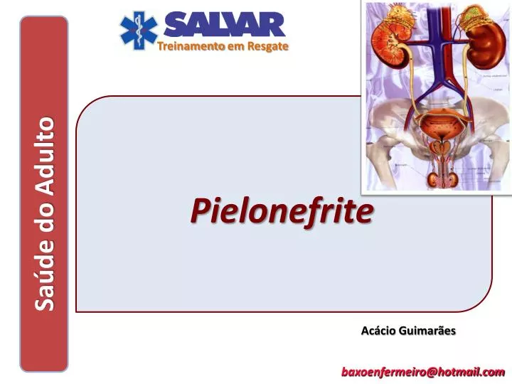PPT - Pielonefrite PowerPoint Presentation, free download - ID:4386147