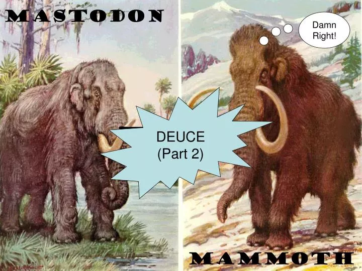 PPT - MASTODON PowerPoint Presentation, free download - ID:4387369