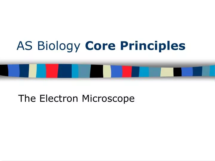 PPT - AS Biology Core Principles PowerPoint Presentation, free download ...