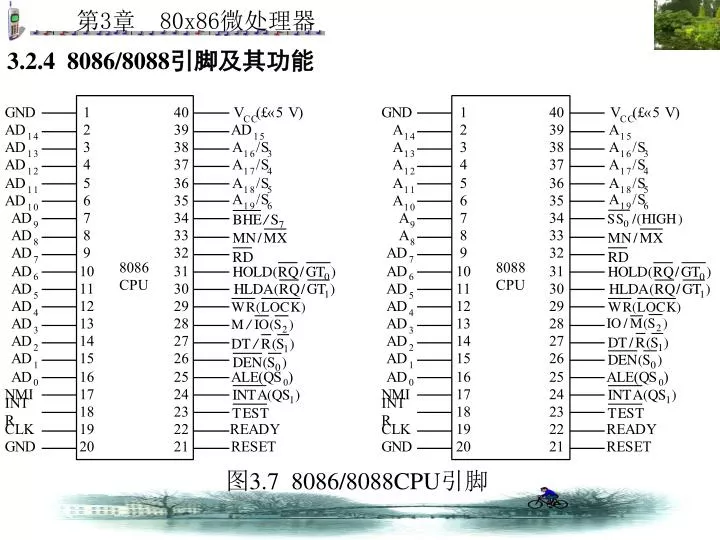 PPT - 3.2.4 8086/8088 引脚及其功能 PowerPoint Presentation, free download ...