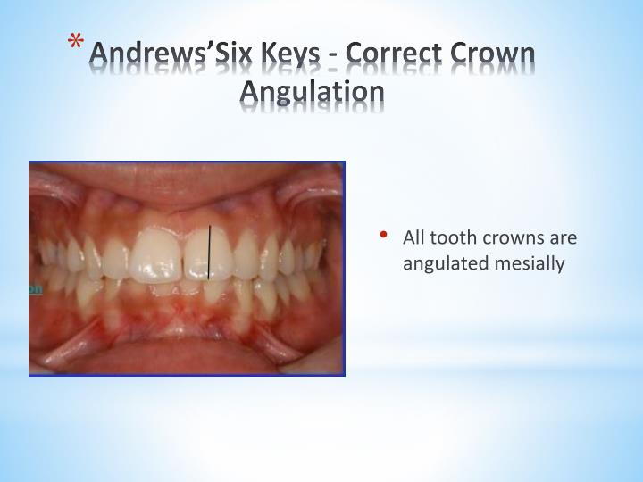 PPT - Andrew’s Six Keys & Skeletal Pattern PowerPoint Presentation - ID ...