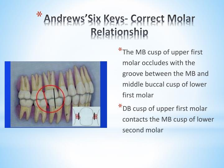 PPT - Andrew’s Six Keys & Skeletal Pattern PowerPoint Presentation - ID ...
