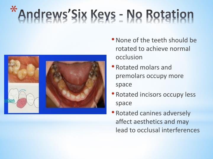 PPT - Andrew’s Six Keys & Skeletal Pattern PowerPoint Presentation - ID ...