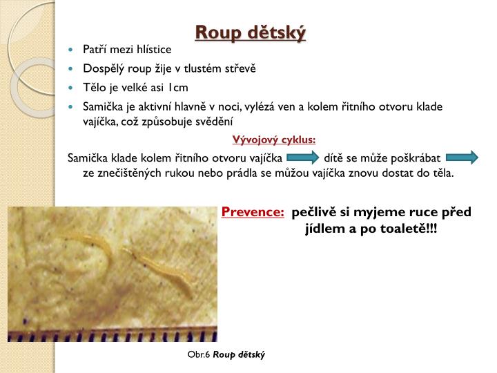 PPT - Vnitřní parazité člověka PowerPoint Presentation - ID:4391813