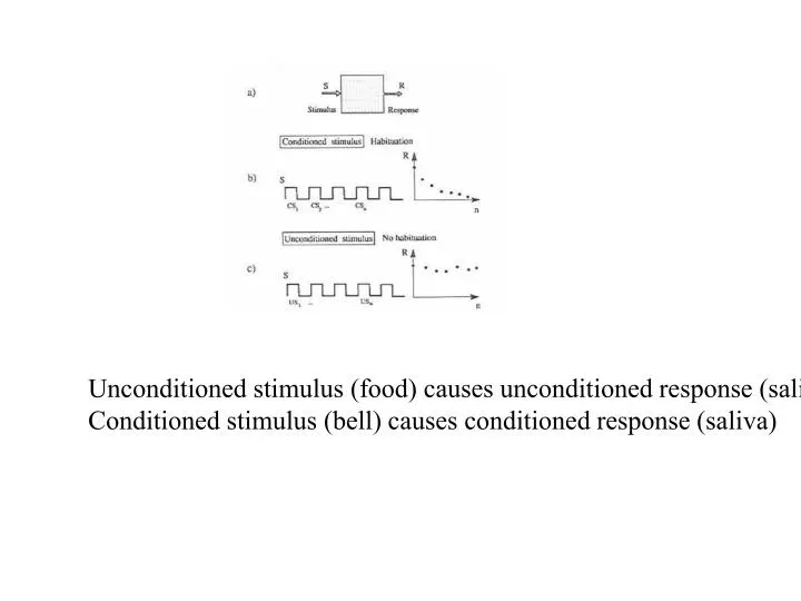 PPT - Unconditioned stimulus (food) causes unconditioned response ...