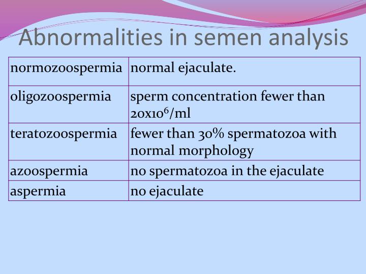 PPT - The reproductive system PowerPoint Presentation - ID:4392490