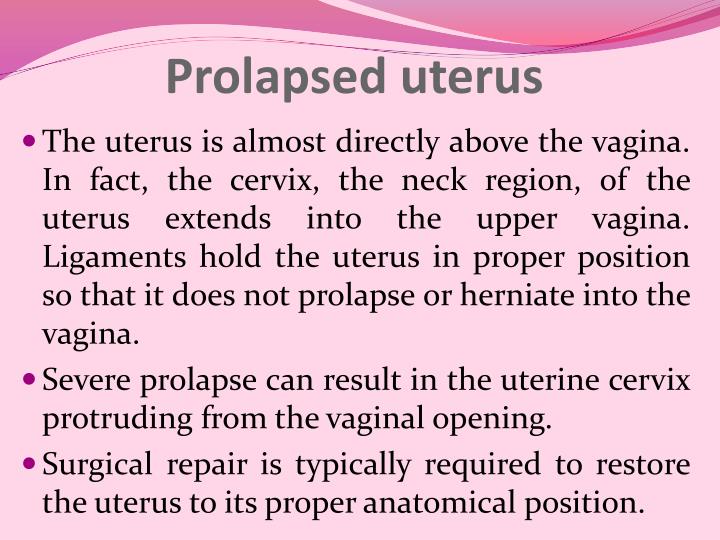 PPT - The reproductive system PowerPoint Presentation - ID:4392490