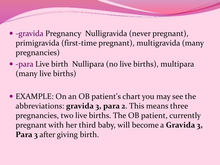 PPT - The reproductive system PowerPoint Presentation - ID:4392490