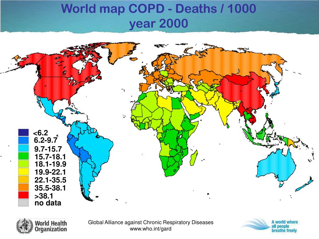 PPT - The Global Alliance against Chronic Respiratory Diseases ...