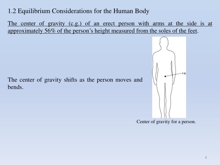 PPT - Chapter 1. Equilibrium and Stability of the human body: 1.1 ...