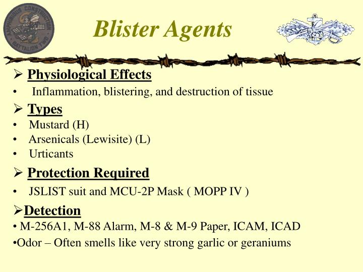 PPT - SEABEE COMBAT WARFARE PowerPoint Presentation - ID:4395802