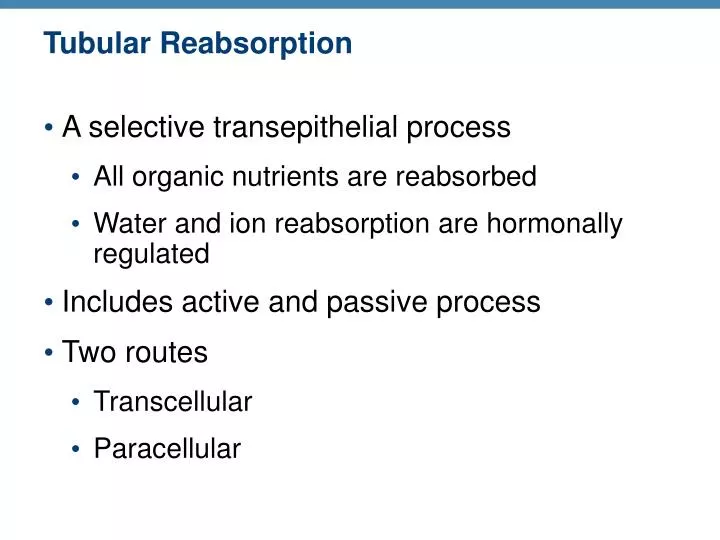 PPT - Tubular Reabsorption PowerPoint Presentation, free download - ID ...