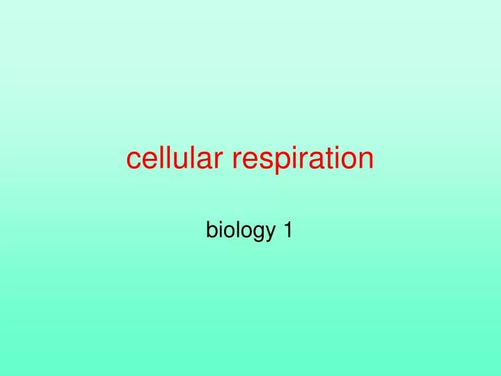 PPT - cellular respiration PowerPoint Presentation, free download - ID ...