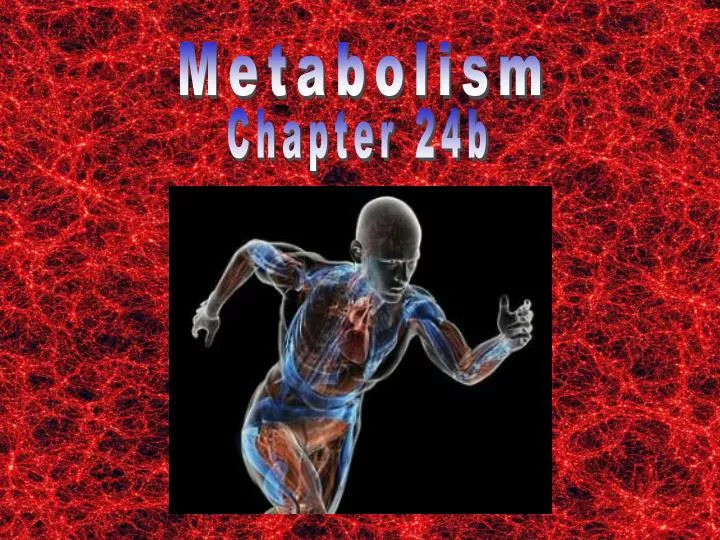 PPT - Metabolism PowerPoint Presentation, free download - ID:4397919