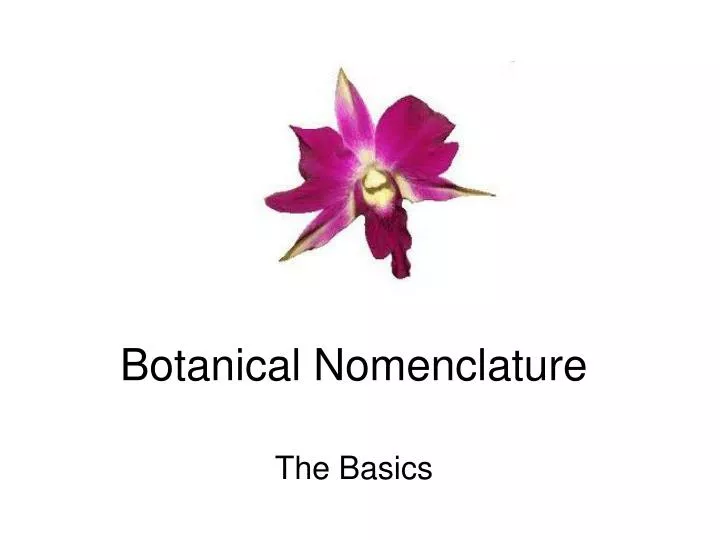 PPT - Botanical Nomenclature PowerPoint Presentation, free download ...