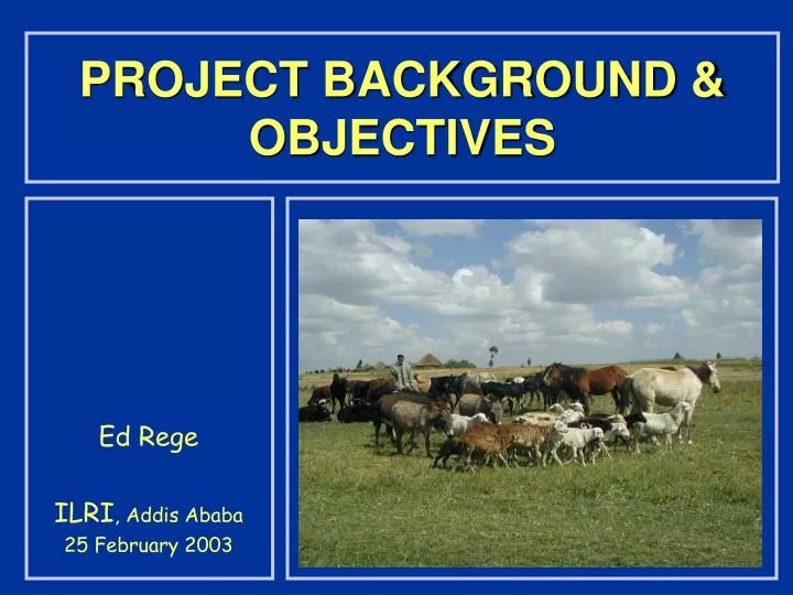 PPT - PROJECT BACKGROUND & OBJECTIVES PowerPoint Presentation, free ...
