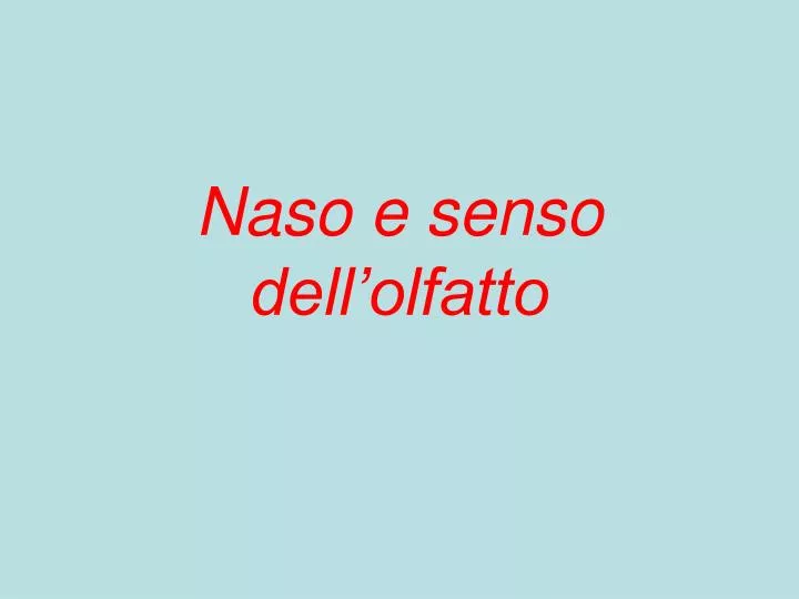 PPT - Naso e senso dell’olfatto PowerPoint Presentation, free download ...