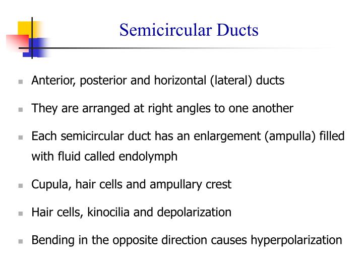 PPT - Cortical and Brain Stem Control of Motor Function PowerPoint ...