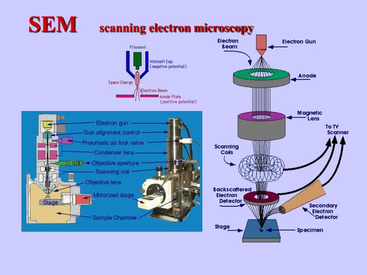 PPT - Chapter 4 Other Techniques: Microscopy, Spectroscopy, Thermal ...