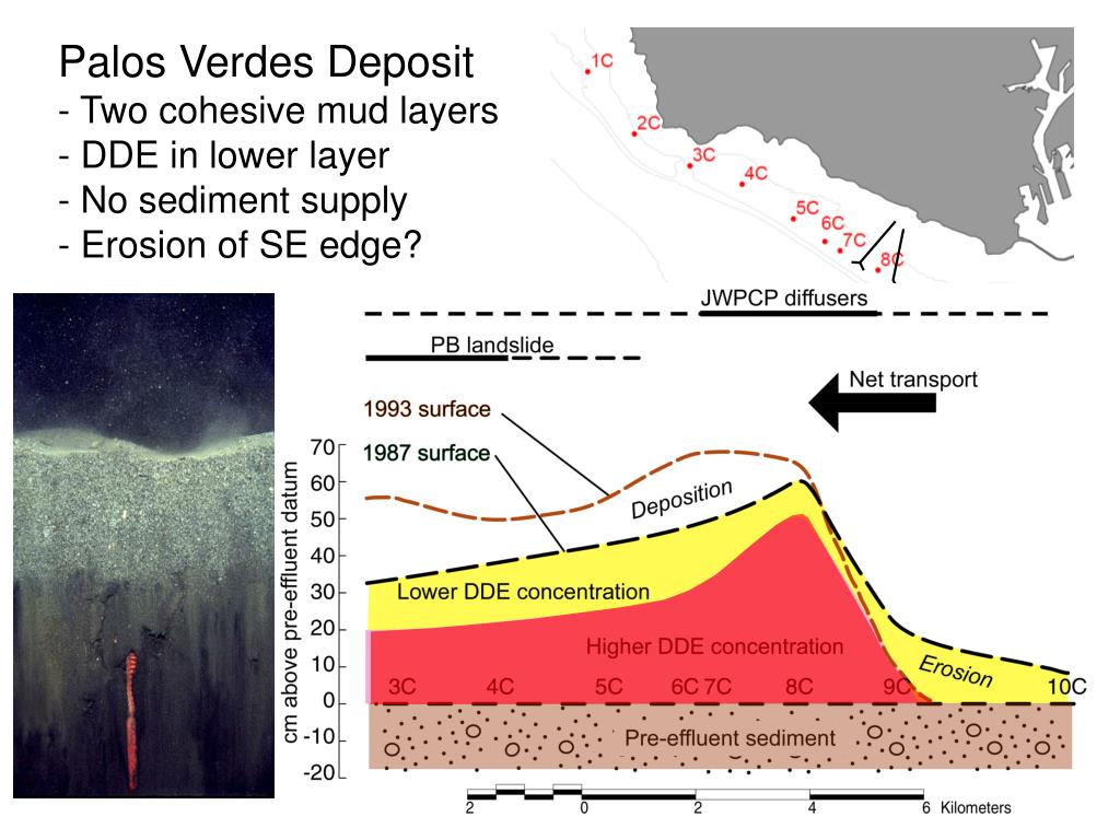PPT - Motivation Non-cohesive formulation Biodiffusive mixing Cohesive ...