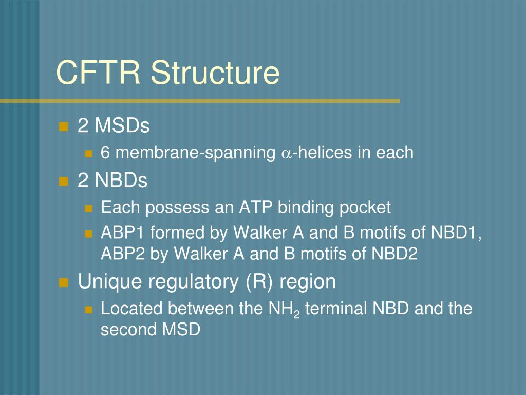 PPT - Cystic FibrosisTransmembrane Conductance Regulator and Filamin A ...