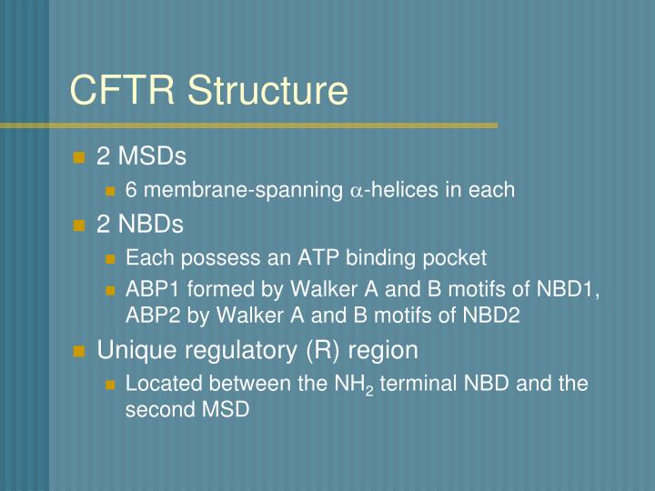 PPT - Cystic FibrosisTransmembrane Conductance Regulator and Filamin A ...