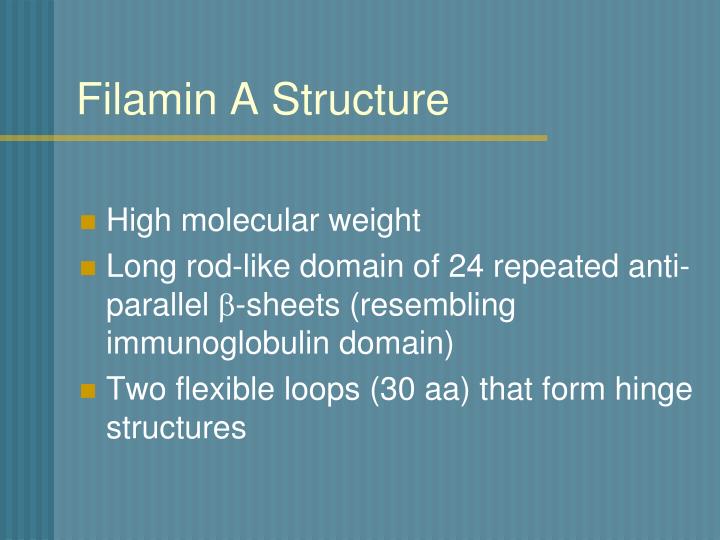 PPT - Cystic FibrosisTransmembrane Conductance Regulator and Filamin A ...