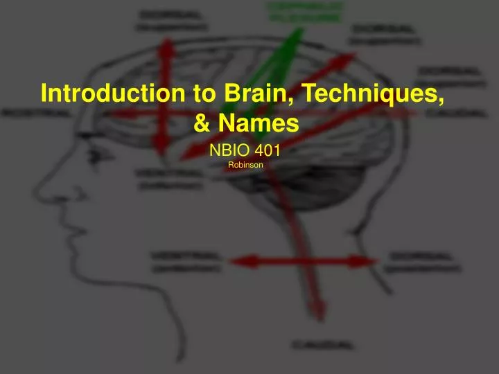 PPT - Introduction to Brain, Techniques, & Names PowerPoint ...