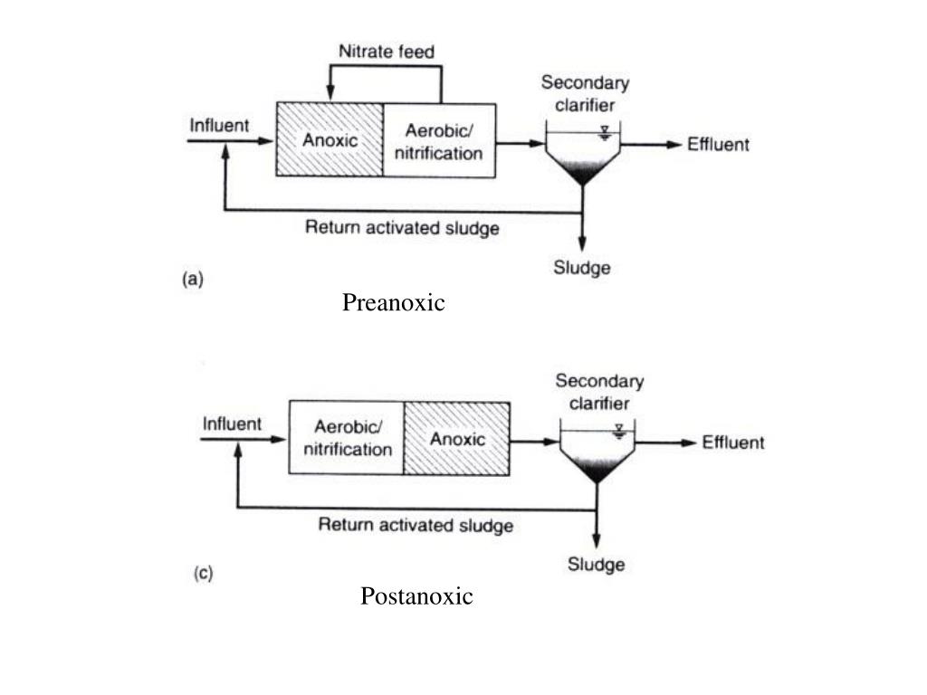 PPT - CE 548 I Suspended Growth Biological treatment Process PowerPoint ...