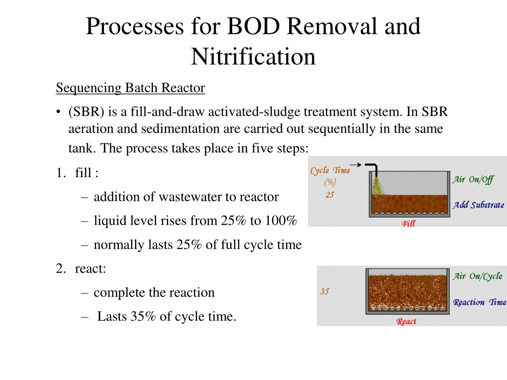 PPT - CE 548 I Suspended Growth Biological treatment Process PowerPoint ...
