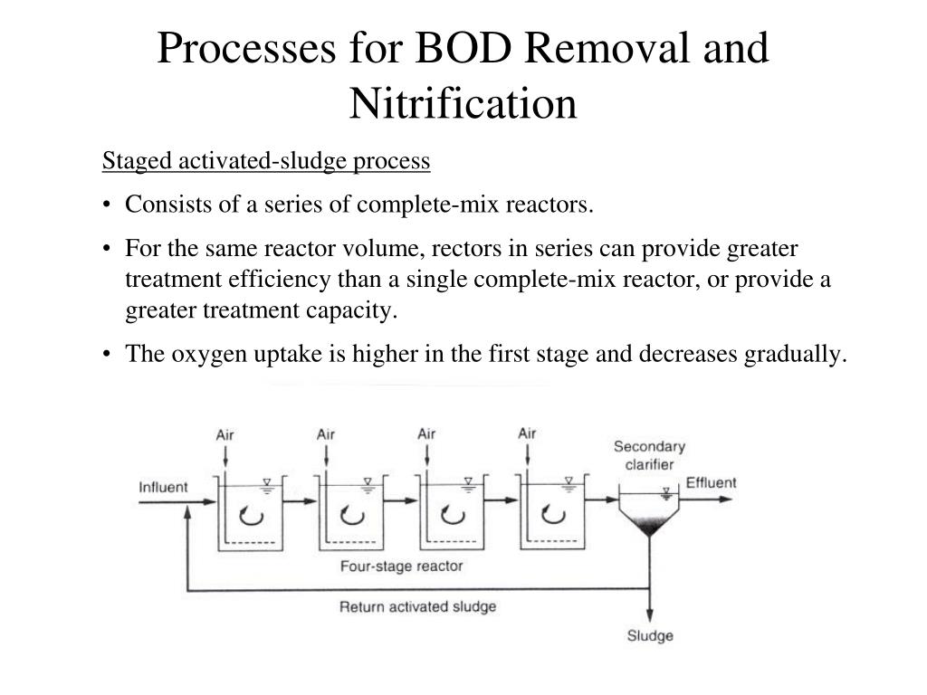 PPT - CE 548 I Suspended Growth Biological treatment Process PowerPoint ...