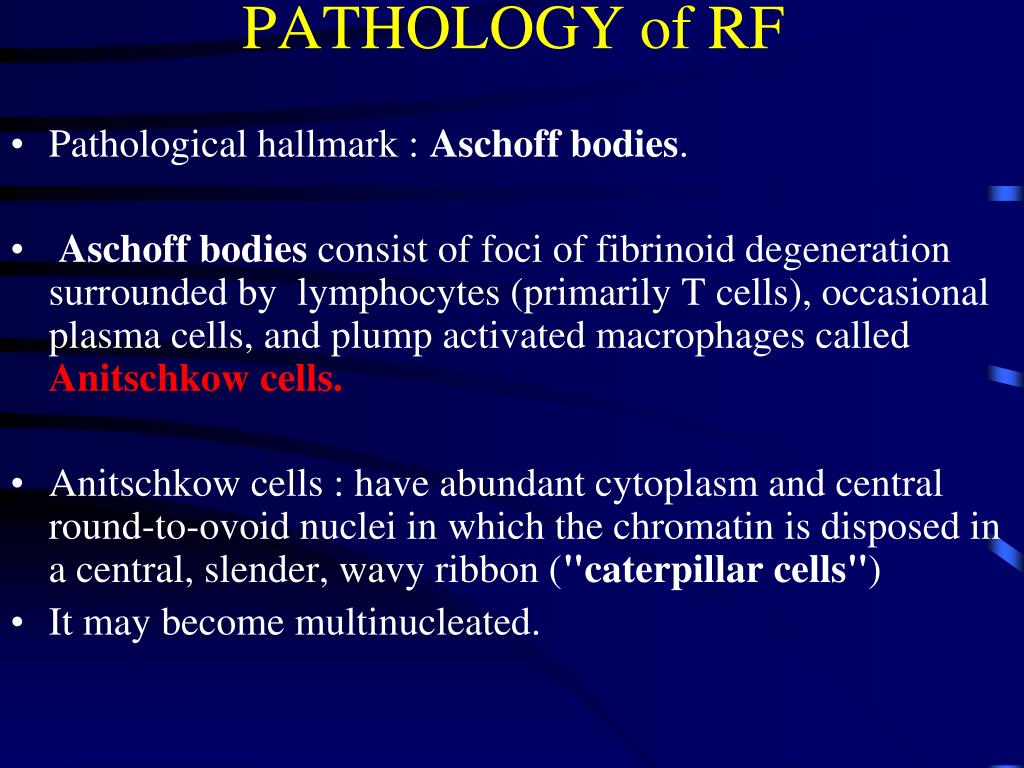 PPT - Pathology of rheumatic fever, IE & Valvular diseases DR. AMMAR AL ...