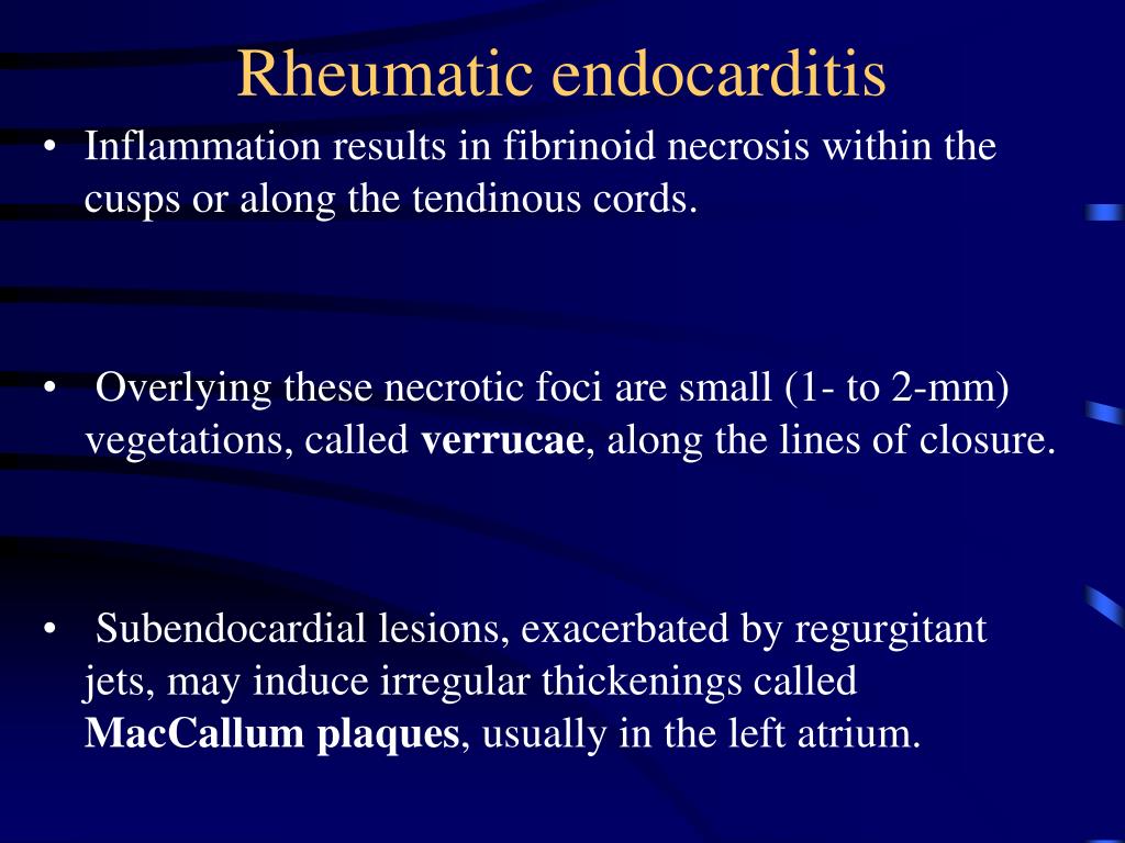 PPT - Pathology of rheumatic fever, IE & Valvular diseases DR. AMMAR AL ...