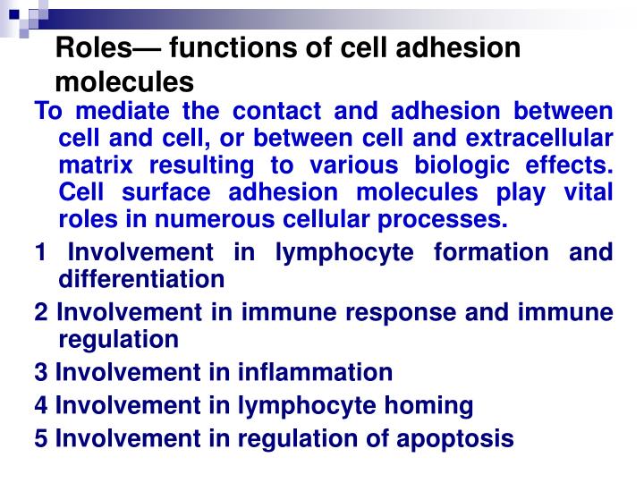 PPT - Adhesion Molecules PowerPoint Presentation - ID:4408083