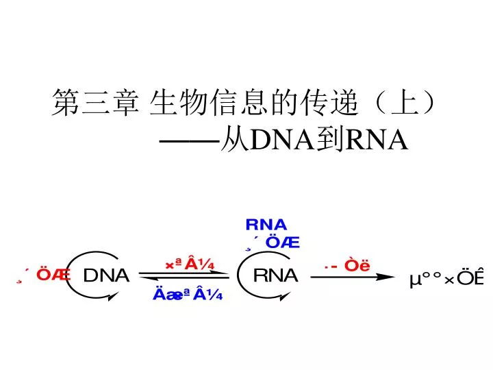 PPT - 第三章 生物信息的传递（上） —— 从 DNA 到 RNA PowerPoint Presentation - ID:4408087