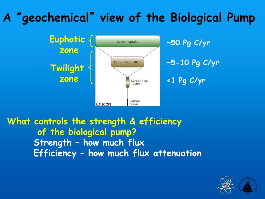 PPT - Outline 1. Background- the biological pump & why we care 2. How ...